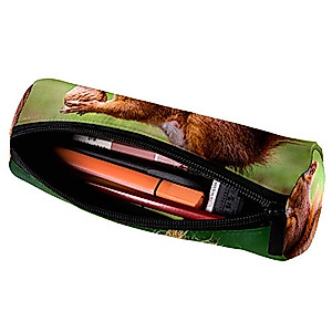Squirrel Eat Nut in Wild Nature Pattern Pencil Bag Pen Case Stationary Case Pencil Pouch Desk Organizer Makeup Cosmetic Bag for School Office