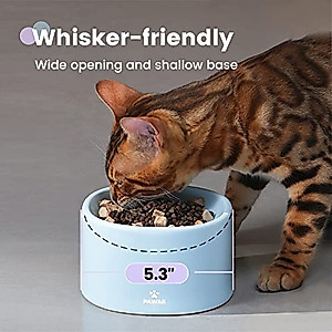 Pawaii Ceramic Cat Bowl, Combined Type Elevated Cat Bowl, Whisker Fatigue Cat Bowl, Dishwasher and Microwave Safe, One Elevated Cat Bowl and One Dish