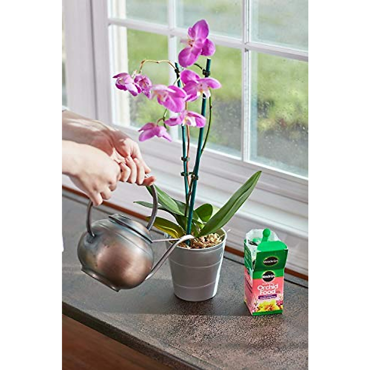 Miracle-Gro Water Soluble Orchid Food, Plant Fertilizer, 8 oz. (12-Pack)