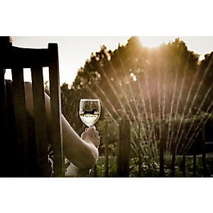 Drinking Divas - It's Been a Long Day 13oz Stemmed Wine Glass | fun glassware with dachshund, wiener dog | Birthday, Christmas or Mother's Day gifts for women mom sister or special occasion present