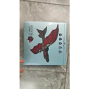 Mostop RC Plane 2.4Ghz Remote Control Airplane Flying Bird Dragon Plane with 2 Batteries & 6-Axis Gyro Stabilizer, RTF Easy to Fly RC Glider for Beginners Adults Kids Boys…