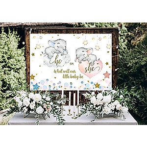 He or She Elephant Gender Reveal Backdrop Soft Cloud and Stars What Will Our Baby Be Boy or Girl Baby Shower Background Decoration Banner 200x150cm W-8192