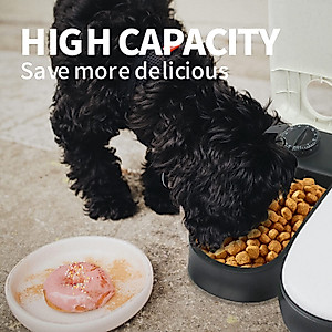 PAWISE Automatic Cat Feeder, 2 Meal, 48-Hour Timer, Dog/Cat Food Dispenser, 1.5 Cups, Schedule Meal or Treat