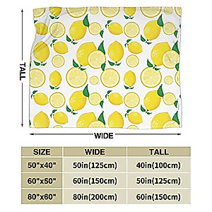 Yamegoun Lemon Throw Blankets Premium Micro Fleece Blanket for Bed Couch Living Room Unisex Lightweight for Adults or Boys Girls 60 X 50 Inches