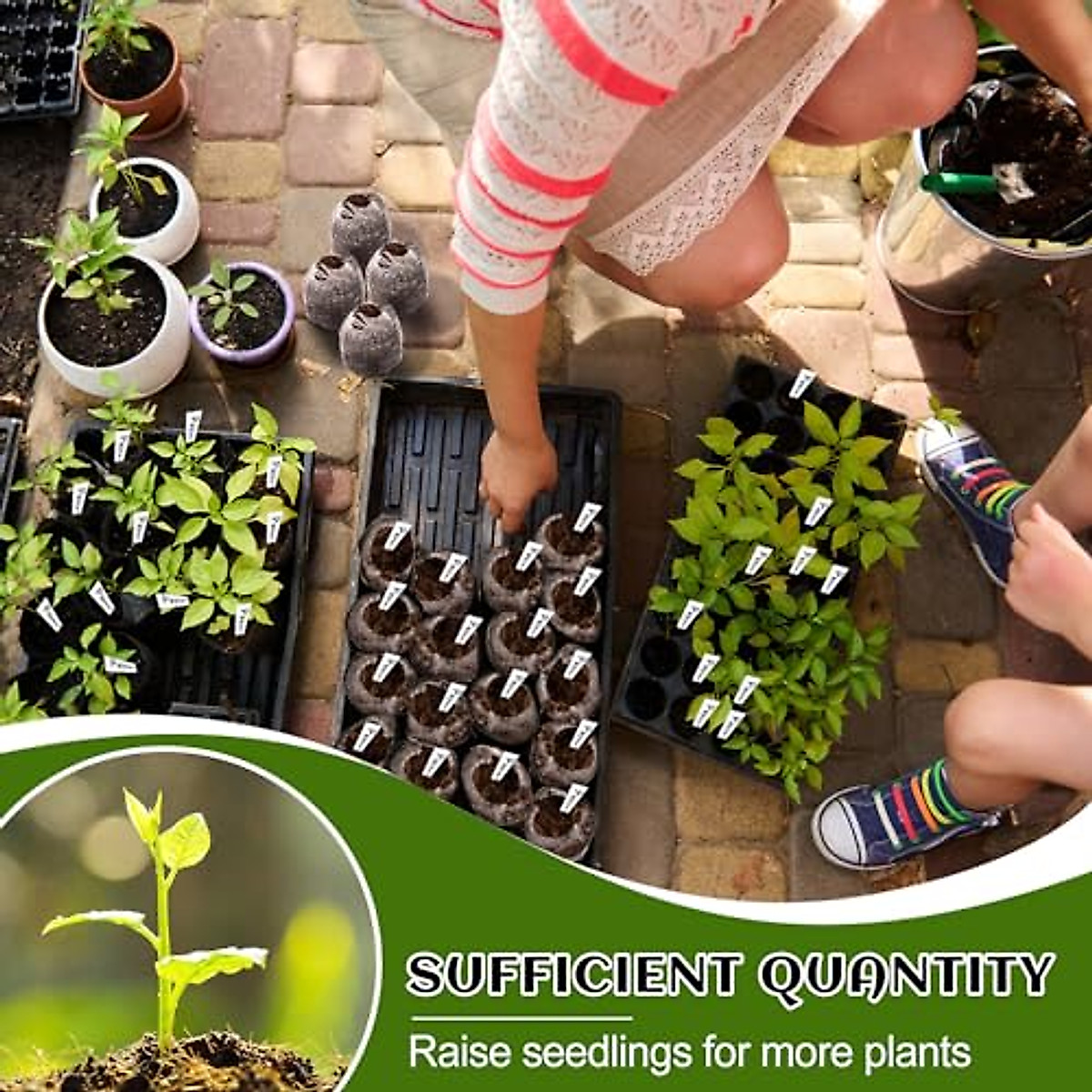 200 Pcs Peat Pellets - 30mm Seeds Plant Starting Plugs, Compressed Nutrient Fertilizer Fiber Soil Block, Plant Pods Bulk for Seedling Transplanting Herb Flower Vegetables