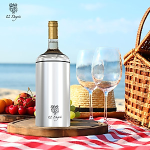 12 Degrés Wine Chiller Set - Perfect Wine Gifts for Women & Men - Stainless Steel Insulated Wine Cooler with Wine Pump, Aerator & 4 Stoppers (Silver)
