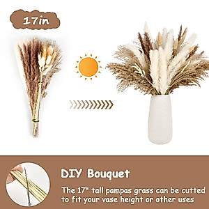 Happyhapi Natural Dried Pampas Grass Bouquet 92Pcs for Boho Home Decor Mixed Dried Flowers for Wedding Decor Pompas Floral Arrangements, Farmhouse Rustic Decor