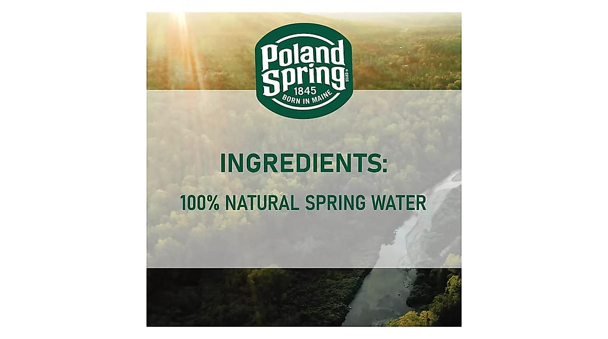 Poland Spring Water 40 pk - Refreshing 16.9 oz Bottles