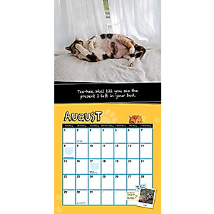2021 Fat Cats Wall Calendar: A Monthly Calendar Full of Funny Felines and Hilarious Captions (The Perfect Funny Gift for Christmas and Cat Lovers)