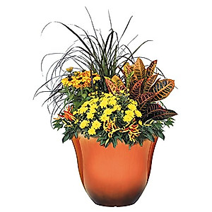 Classic Home and Garden Honeysuckle Resin Flower Pot Planter, Tequila Sunrise, 15"