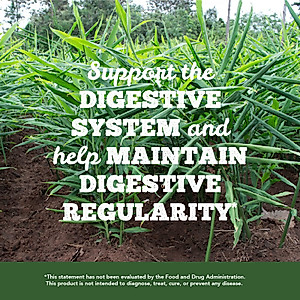 St. Francis Herb Farm - Digestive Bitters 100ml - Herbal Supplements - Organic, Non GMO, Vegan, Gluten Free, Dairy Free