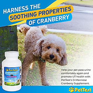 Pet Supplies D Mannose with Cranberry for Dogs and Cats UTI Urinary Tract Support Prevents and Eliminates Bad Bacteria - Bladder Kidney Supplement for Pets by Advocate PetTest (90 Count)