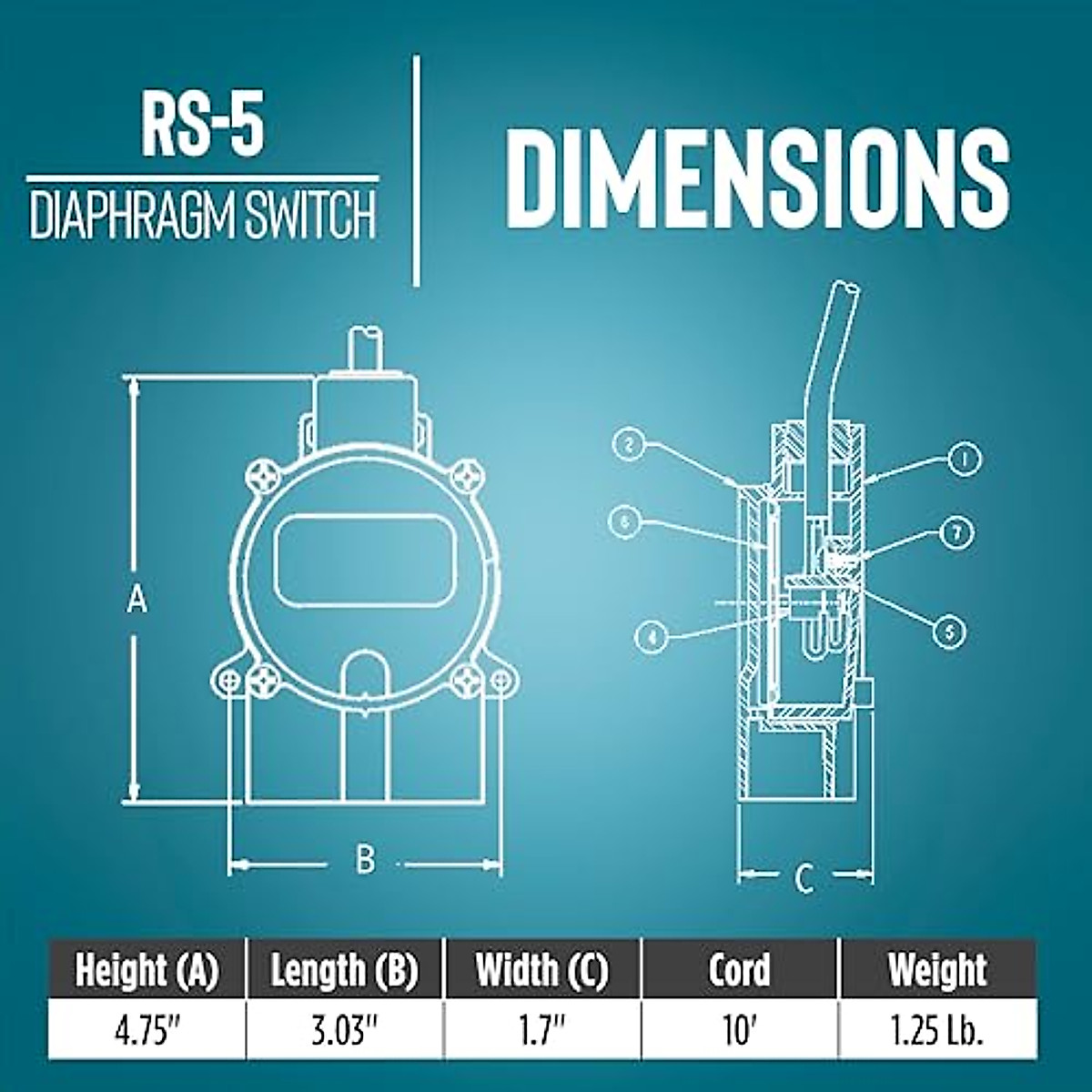 Little Giant RS-5 115-Volt Piggyback Diaphragm Pump-down Switch for Sump or Utility Pumps, 10-Ft. Cord, Black, 599008