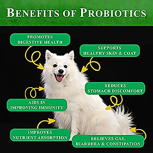 Deluxe Naturals Probiotics for Dogs | All-Natural Dog Probiotic Supplement with Enzymes, Prebiotics, Pumpkin | Promote Digestive Health, Improve Allergy & Immunity, 90 Count (Pack of 2)