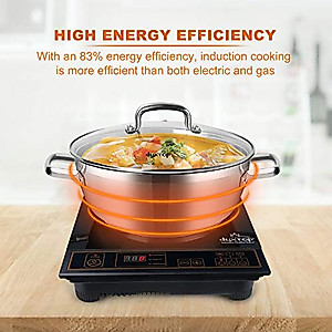 Duxtop 1800W Portable Induction Cooktop, Countertop Burner Included 5.7 Quarts Professional Stainless Steel Cooking Pot with Lid, Heavy Impact-bonded Bottom