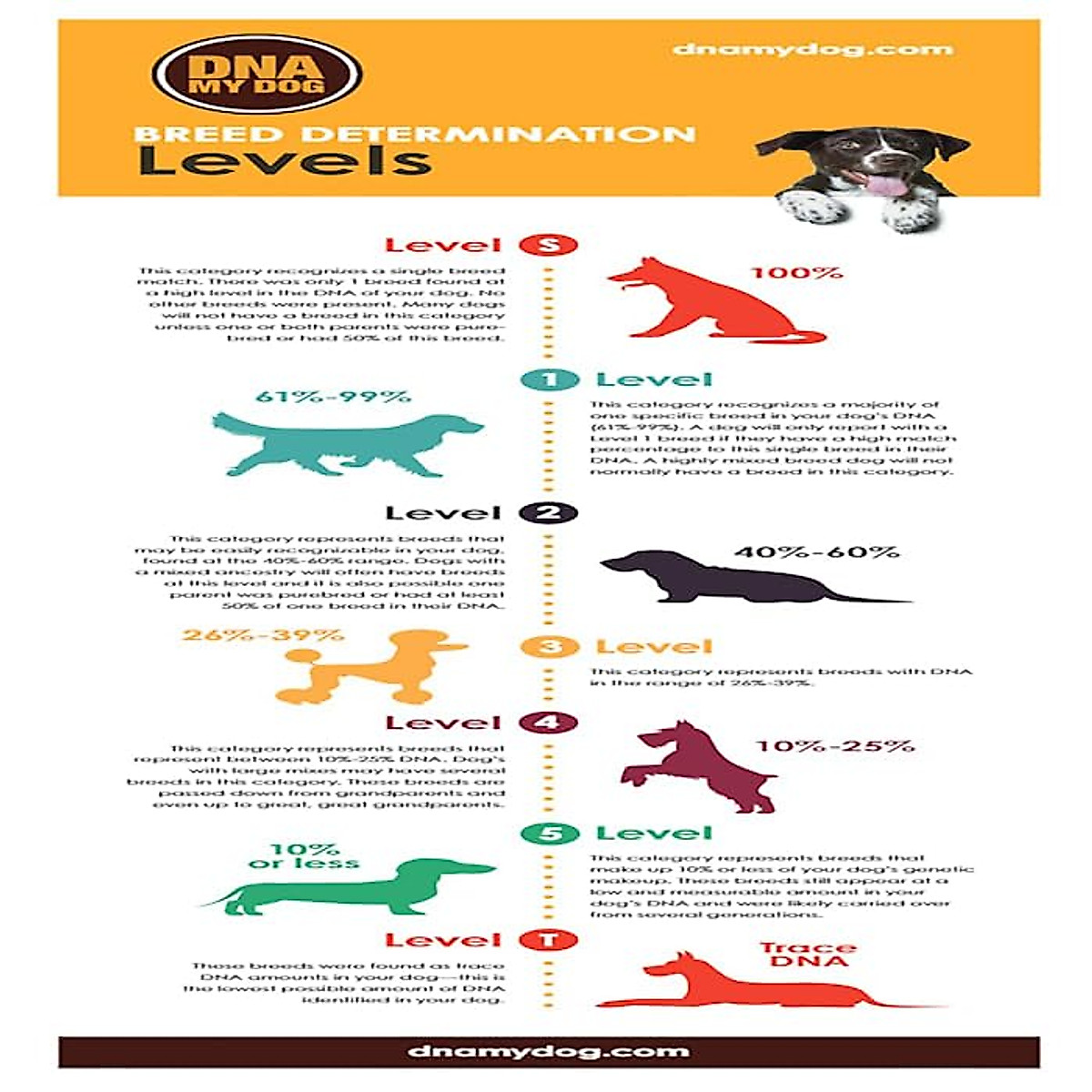 Dna My Dog Genetic Testing Kit – Essential Breed ID Test Mixed Breed Identification, Personality Traits – for Puppies to Adult Dogs, Non-Invasive Cheek Swab
