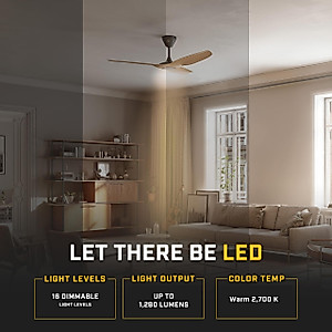 Big Ass Fans Haiku L Smart Ceiling Fan, 52", Black