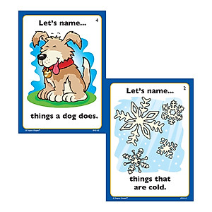 Super Duper Publications | Let's Name... Things Fun Deck Flash Cards | Educational Learning Resource for Children