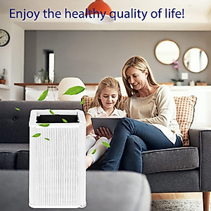 True HEPA 121 Replacement Filter Compatible with Blueair Blue Pure 121 Purifier, Particle True HEPA Filter and Activated Carbon