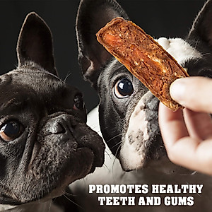 Chicken Jerky Dog Treats 1.5 Lb - Human Grade Pet Snacks & Grain Free Meat - All Natural High Protein Dried Strips - Best Chews for Training Small & Large Dogs - Bulk Soft Pack Made for USA