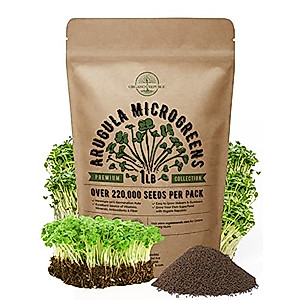 Arugula Sprouting & Microgreens Seeds - Non-GMO, Heirloom Sprout Seeds Kit in Bulk 1lb Resealable Bag for Planting & Growing Microgreens in Soil, Coconut Coir, Garden, Aerogarden & Hydroponic System.