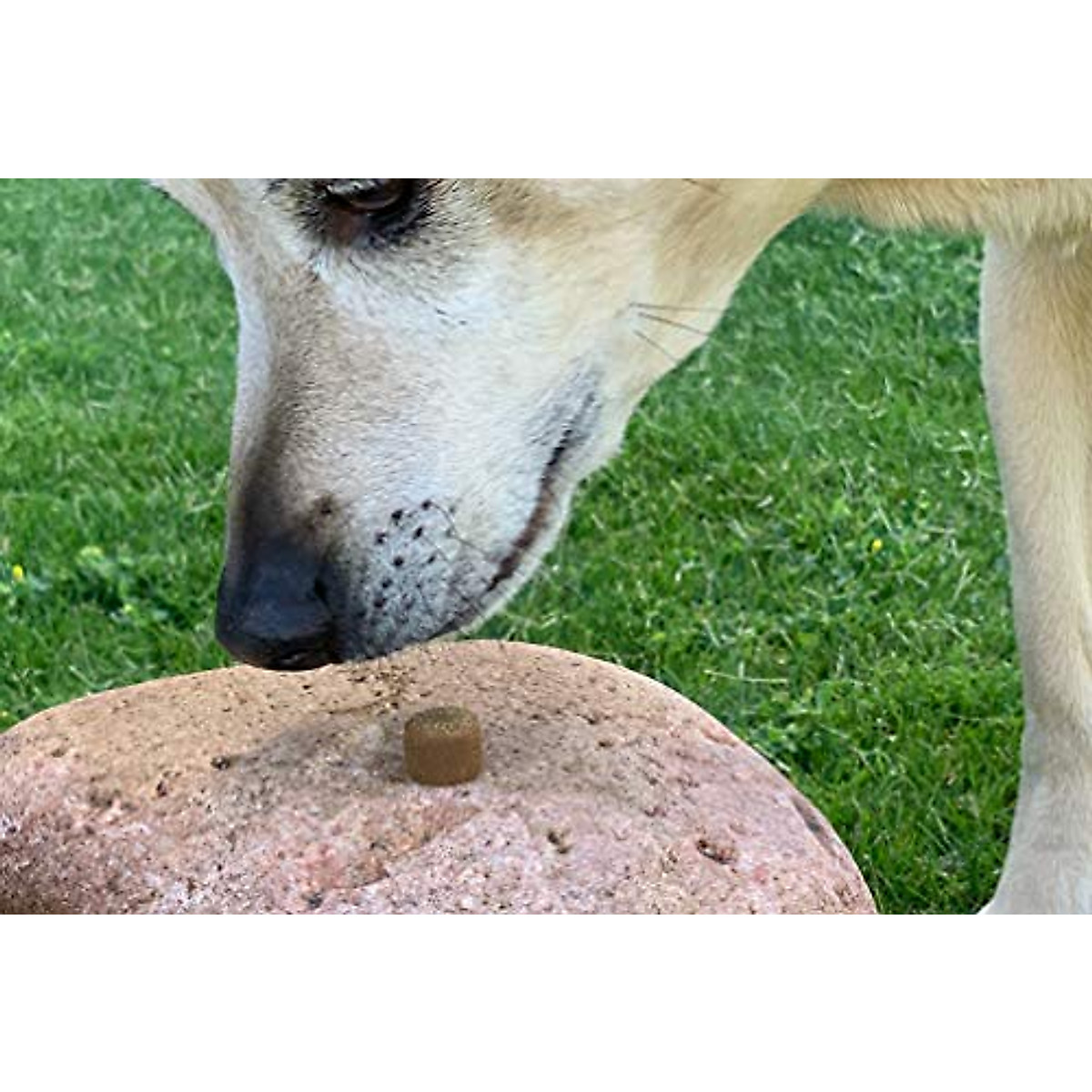 Essential Pet Pet Eze Calming Support Soft Chews for Dogs, Brown, One Size