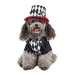 Mogoko Magician Dog Costumes, Pet Halloween Cosplay Jumpsuit with Hat, Adorable Magician Costume, Apparels Warm Outfits Clothes