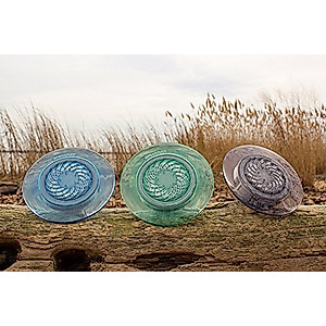 Speakman S-4002 Reaction Single-Function Showerhead for Stylish Bathroom Décor, 2.5 GPM, Clear Smokey Gray