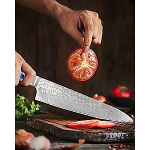 Damascus Chef Knife 8 Inch, Made of High Carbon VG10 Steel Damascus Kitchen Knife with Ergonomic Resin Wood Handle