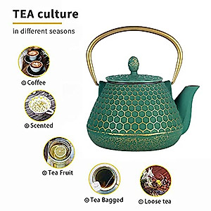 Cast Iron Tea Kettle, Japanese Tetsubin Teapot Coated with Enameled Interior, Durable Cast Iron Teapot with Stainless Steel Infuser for Stovetop Safe(1000ml/34oz)
