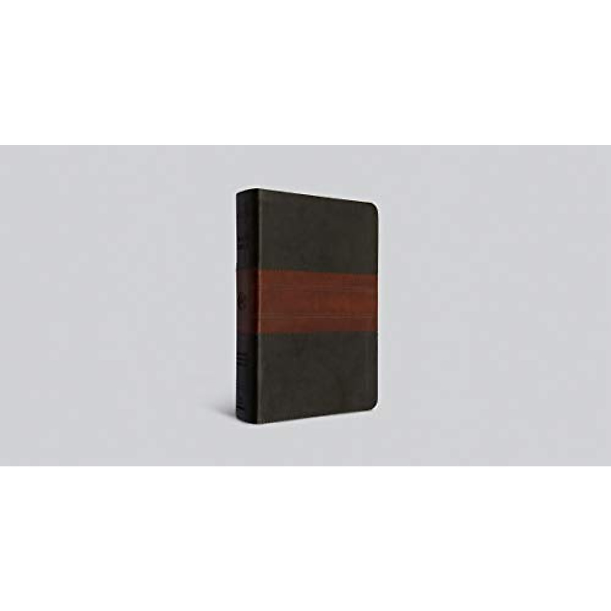 ESV Large Print Personal Size Bible (TruTone, Forest/Tan, Trail Design)