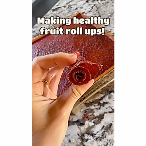 The BEAST by Denali | 8 Layer Stainless Steel Food Dehydrator | 100 Recipes & Full Instructions | Jerky, Fruit Leather, Veggies | Silver, LED Touch, Timer & Low-Noise Fan | Denali is a USA Company (BEAST Fruit Leather Mats (Brown, 4 Pack))