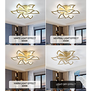 MEIXISUE LED Ceiling Light Gold Dimmable Close to Ceiling Lamp with Remote Control for Living Room,Bedroom,Kitchen,W31.5