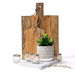 Kurrajong Farmhouse Artificial Plant | 8" Fake Plant for Desk Decor | Artificial Succulent in Pot | Fake Succulent | Faux Plant Indoor | Succulent Plant Artificial | Faux Succulent for Shelf Decor