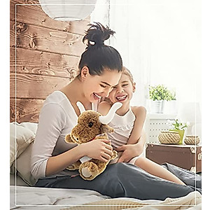 DolliBu Plush Texas Longhorn Stuffed Animal - Soft Plush Huggable Texas Longhorn Plush, Adorable Playtime Plush Toy, Cute Wild Life Cuddle Gifts for Kids & Adults - 8 Inches