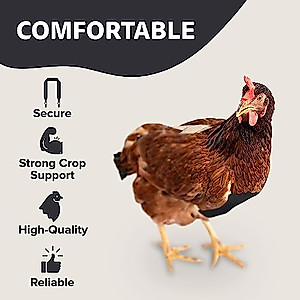 Birdy Bra Standard Chicken Hook-and-Loop Crop Bra, Black