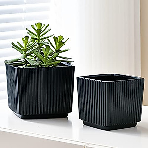 Ton Sin Black Flower Pots,5"&3.7" Inch Matte Square Plant Pots for Indoor Plants Set of 2,Medium Plant Pots with Drainage Holes,Succulents Pots Garden Pot (2 Pack)