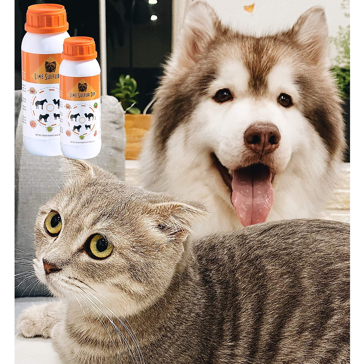 Classic's Lime Sulfur Dip - Pet Care for Itchy and Dry Skin - Xtra Strength Formula - Safe Solution for Dog, Cat, Puppy, Kitten, Horse (16 fl oz x 3 Bottles)