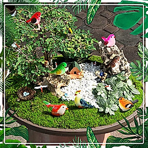 25 Pcs Miniature Bird Figurines Tiny Bird Figurines Mini Fairy Animal Figurines Resin Birds Toy Statues for Garden Micro Landscape Home Terrarium Crafts Cake Cupcake Toppers Dollhouse Decorations