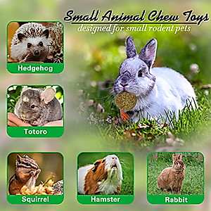 KIROYAL Rabbit Chew Toys Guinea Pig Toys Bunny Toys Natural Timothy Hay Sticks Hamster Chew Toys for Teeth and Apple Sticks for Rabbits Chinchilla Ball Gerbil Toys