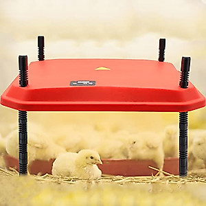 GIFANK Chicken Brooder Heating Plate for Chicks and Ducklings 16” x 16” Temperature Adjustable LED Display Adjustable Height,Safer Than Brooder Lamps Heater,Keeps Up to 30 Chicks Warm,42W