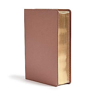 CSB She Reads Truth Bible, Rose Gold LeatherTouch, Black Letter, Full-Color Design, Wide Margins, Journaling Space, Devotionals, Reading Plans, Single-Column, Easy-to-Read Bible Serif Type