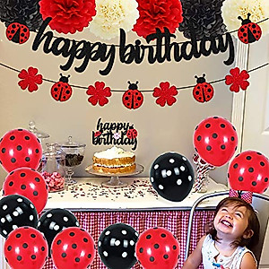 Ohiviaaa Ladybug Birthday Decorations Ladybird Happy Birthday Banner Ladybeetle Cake Topper Black Red Latex Balloon Pom Pom Flowers for Ladybug Theme Bday Party Supplies