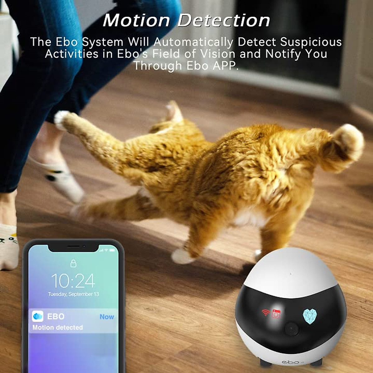 Enabot Ebo SE Movable Smart Pet Dog Camera Robot, Wireless Auto-Cruise Self-charging 1080P HD w/Night Vision 2-Way Audio APP Remote Control Motion Detection IP Cam Home Camera 2.4G/5G Wifi