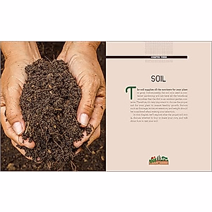 Container Gardening for Beginners: A Guide to Growing Your Own Vegetables, Fruits, Herbs, and Edible Flowers