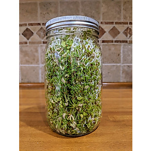 Sprouting Jar with Screen Lid-316 Stainless Steel 100% Rust Free, Wide Mouth Quart Mason Jar Kit Sprouter, Organic Healthy Fresh Broccoli, Alfalfa, Mung Bean Sprouts and more (Seeds not included)