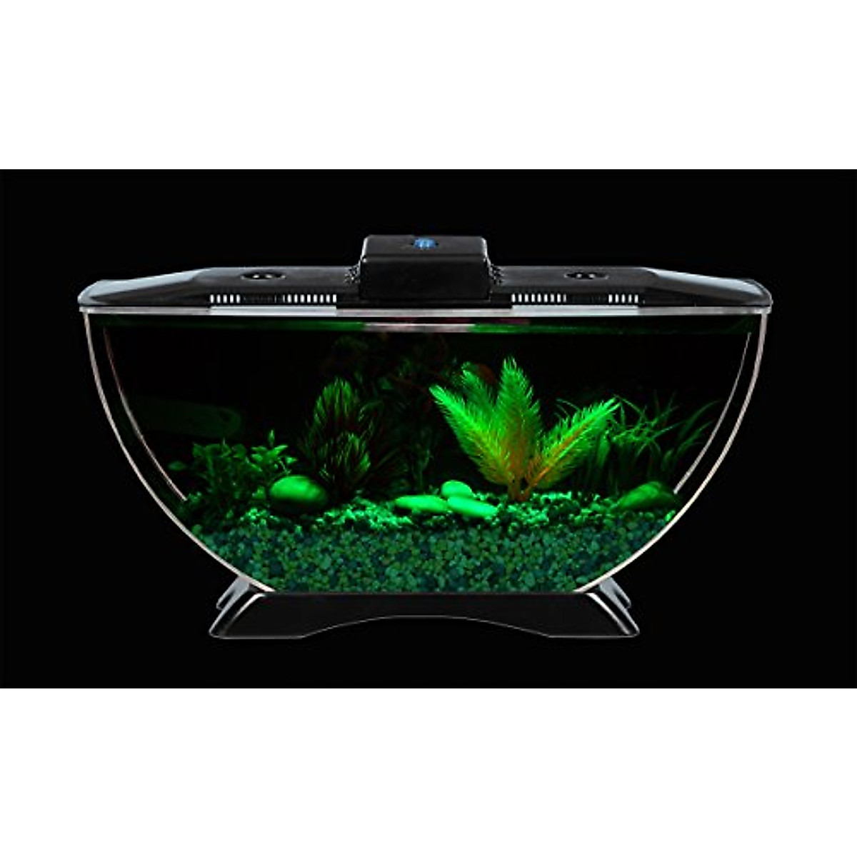 BettaTank 1-Gallon Deco Fish Tank with LED Lighting