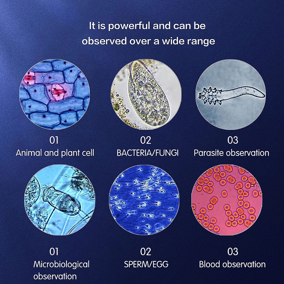 40X-2000X Compound monocular Microscope with Microscope Slide Set, Cell Phone Adapter, Dual LED Illumination Powerful School Home Education biomicroscope， 2MP USB Camera