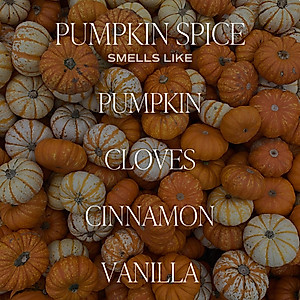 Sweet Water Decor Pumpkin Spice Candle - Fall Candles with Pumpkin, Clover, Cinnamon & Vanilla Scent for Home - Pumpkin Candle with 40 Hours Burn Time - 9Oz Black Lid Amber Jar Pumpkin Soy Candles