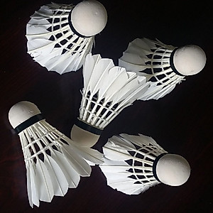 Bringsine LED Badminton Shuttlecock Dark Night Birdies Lighting for Kids Outdoor Sports-Red 4PCS